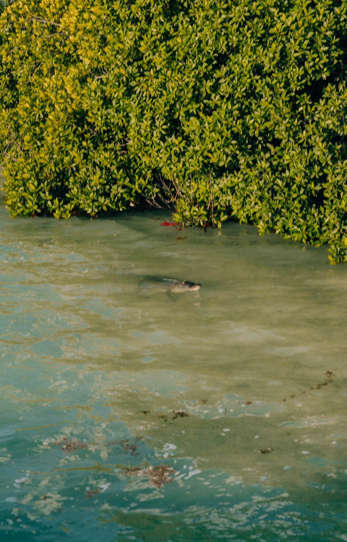 Sian Ka'an. Kawałek raju na Jukatanie - Wypisz wymaluj podróż